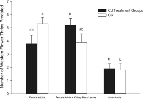 Feeding By O Sauteri On F Occidentalis With Or Without Cd Different Download Scientific