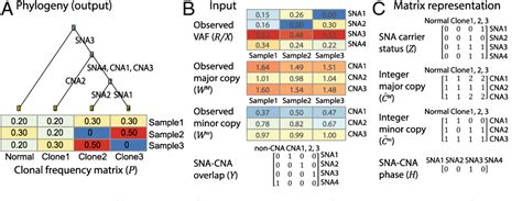 Figure 1 From Assessing Intratumor Heterogeneity And Tracking Longitudinal And Spatial Clonal
