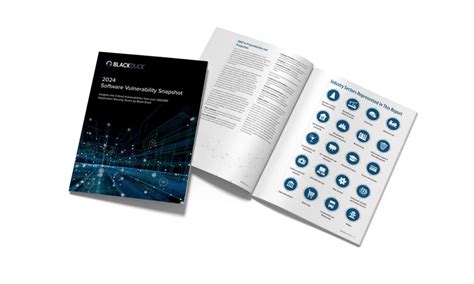 What Is A Vulnerability Assessment And How Does It Work Black Duck