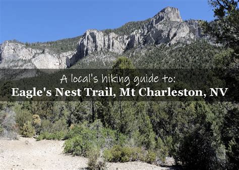 Mt Charleston Peak Hike South Mt Charleston Peak Hike Directions 11