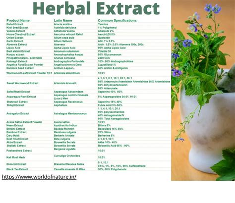 Creatine Nitrate Powder 25 Kg Drum At ₹ 1000 Kg In Pune Id 2856350332388