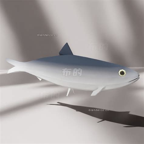 Blender低多边形卡通动画沙丁鱼模型 Blender布的06 Blender布的