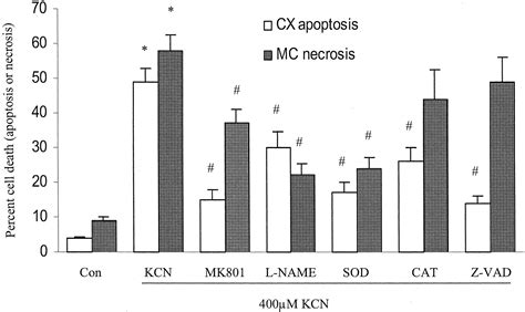 Cyanide Induces Different Modes Of Death In Cortical And Mesencephalon