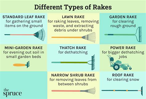 14 Different Types Of Rakes And Uses For Each