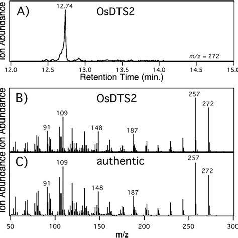 Configurational Differences Between Ent And Syn Cpp Both Are Depicted Download Scientific