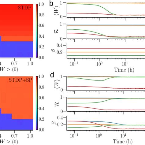 Spike Timing Dependent Plasticity Synaptic Weight Increment Vs Spike Download Scientific