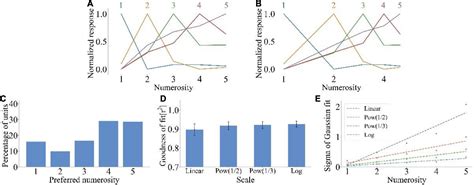 Frontiers Recognition Ability Of Untrained Neural Networks To
