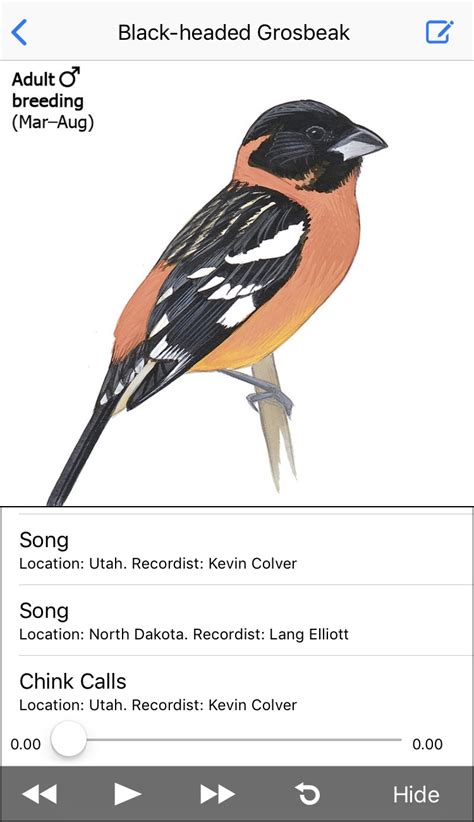 Bird Hierarchy Chart Ponasa