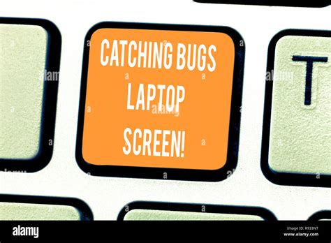 Handwriting Text Writing Catching Bugs Laptop Screen Concept Meaning