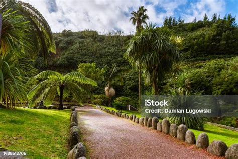 야자수가 있는 열대 정원의 길 열대 식물 언덕 울창한 단풍이 있는 자연 경관 아조레스 제도 포르투갈 0명에 대한 스톡 사진 및