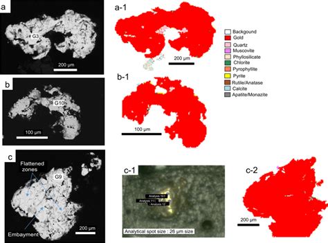 Scanning Electron Microscope Sem Images Automated Electron Beam Download Scientific Diagram
