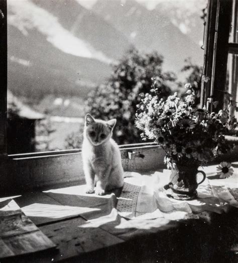 Dora Maar Savoie Cat Chat Savoie Ii For Sale At 1stdibs