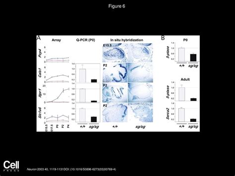 Volume 40 Issue 6 Pages December 2003 Ppt Download