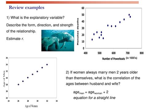 Looking At DataRelationships Ppt Download