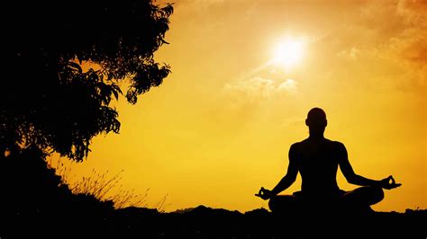 Understanding the Ego - InnerEngineering.com