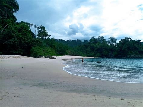 Java Turtle Homestay Updated 2025 Prices Reviews And Photos