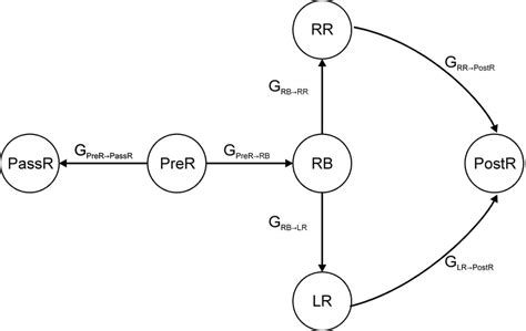 A Stochastic Hybrid Model Of Dna Replication Discrete System States Download Scientific