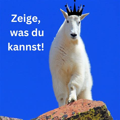 Was Sind Deine Ziele Und Fokuspunkte Für Juli Ingrid Huse