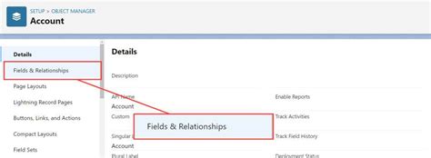 Salesforce Encrypted Field