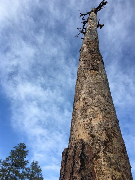 Безплатна снимка дърво рок планина облак растение небе вятър паметник кула