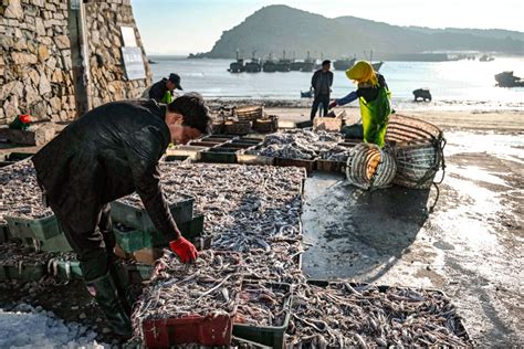 Chinas Intelligence Agency Calls Case Of ‘extreme Environmentalism A