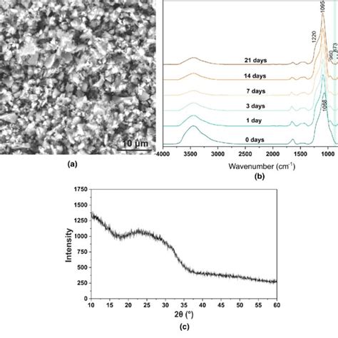 sem image a ftir spectrum b and xrd pattern c of the msgg