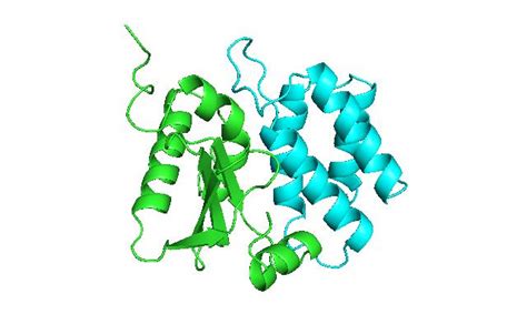 Jienyu Ding On Linkedin 4 Days Pyrosetta Workshop With Bioinfoacademy And Finally Got A Docked…