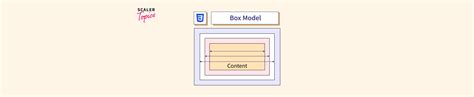 What Is The CSS Box Model Scaler Topics