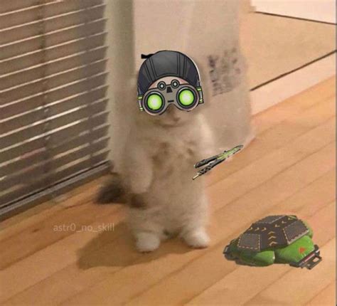Cute Cat Pfp Apex Legends Octane Gogeta Ss4 Imagenes De Dinero