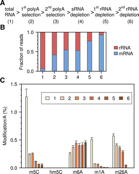 Lc Msms Analysis Of Rna Samples From Mouse Es Cells That Were Download Scientific Diagram
