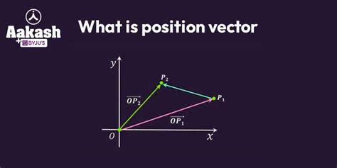What Is Position Vector