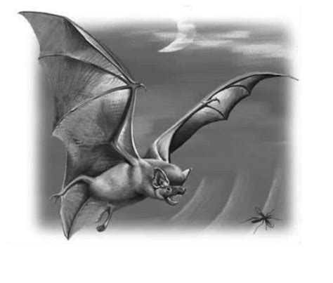 【雕爷学编程】arduino动手做（114） Us 015高分辨超声波模块 Makelog造物记