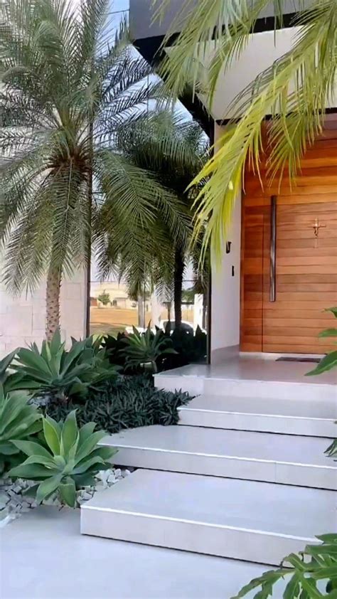 Palm Tree In Front Of A Building
