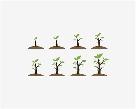 小树苗成长过程高清素材 卡通 发芽 小树苗 成长之路 手绘 简图 长大 免抠png 设计图片 免费下载 花瓣网