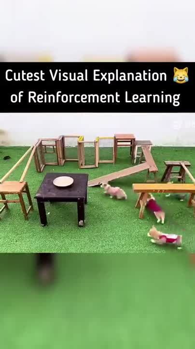 kason y on linkedin ai machinelearning algorithms
