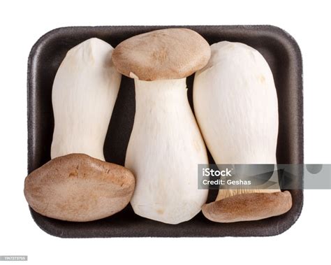 Ple비뇨기과에 르 린스이 왕 굴 버섯 왕 트럼펫 흰색 절연 검은 거품 식품 트레이에 신선한 원시 식용 버섯 평면도 0명에 대한 스톡 사진 및 기타 이미지 Istock