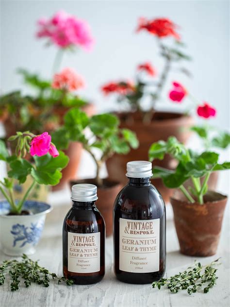 Geranium And Thyme Diffuser Fragrance Vintage And Bespoke Ltd