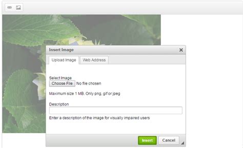 inputtext remove certain functionality from rich text area field in