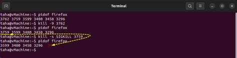 How To Kill Processes In Ubuntu LinuxWays
