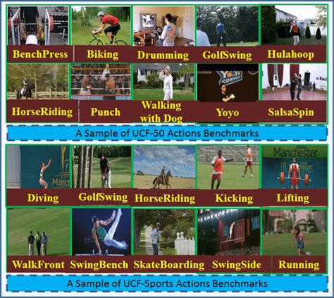 Video Datasets For Action Localization Ucf50 And Ucf Sports Download Scientific Diagram