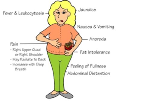 Week 11 Disorders Of Hepatobiliary And Exocrine Pancreas Function Flashcards Quizlet