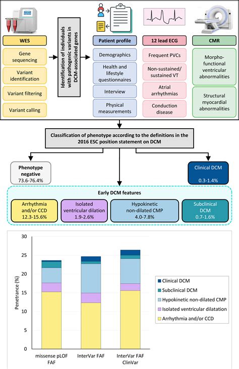 Frequency Penetrance And Variable Expressivity Of Dilated Cardiomyopathyassociated Putative