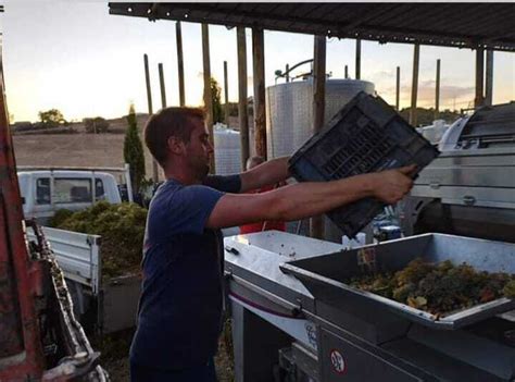 Tommaso Vernace Valorizza Allumiere • Terzo Binario News