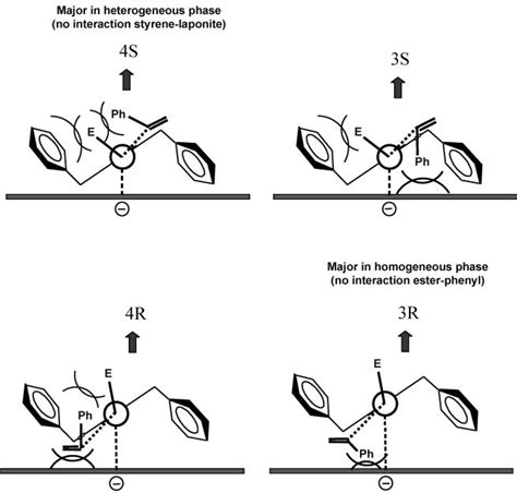 proposed model of the steric interactions responsible for the