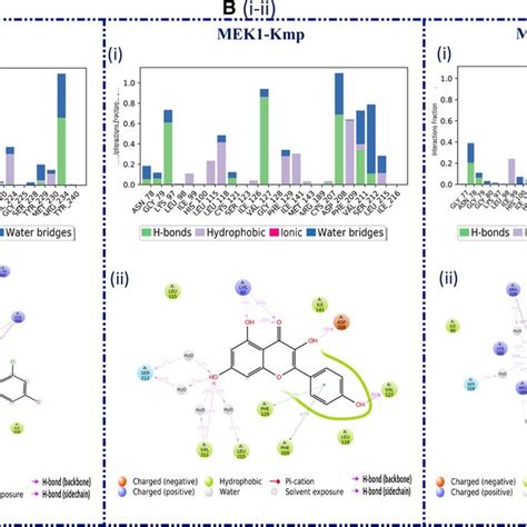 Protein Ligand Interaction Profile During The Course Of Md Simulations