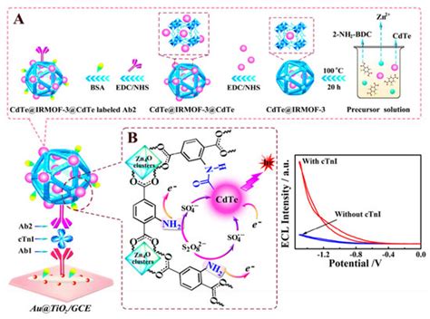 Strategies For Enhancing The Sensitivity Of Electrochemiluminescence Biosensors