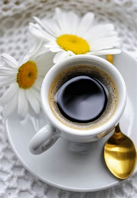 Find kitchen and dining ware at www.homeofjuniper.co.uk | Пора пить ...