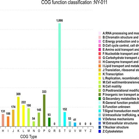 the cog function classification of strain ny 011 download scientific