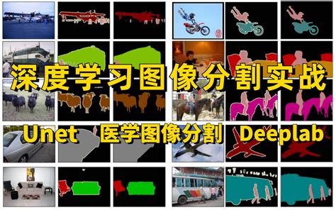 强推华理博士的这套深度学习图像分割实战教程实在是太香了算法原理 项目实战 学不会来打我Unet Deeplab 医学图像分割