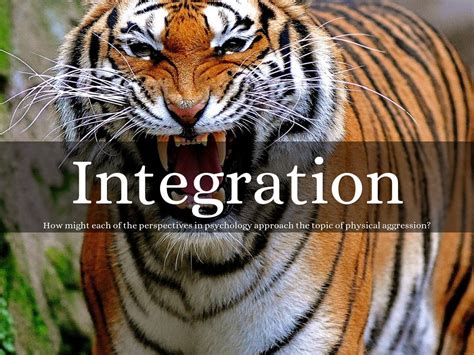 The 7 Psychological Perspectives By Vanessa Reed